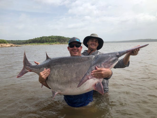 World Record Paddlefish Caught Near Tulsa Oklahoma – TLO Outdoors