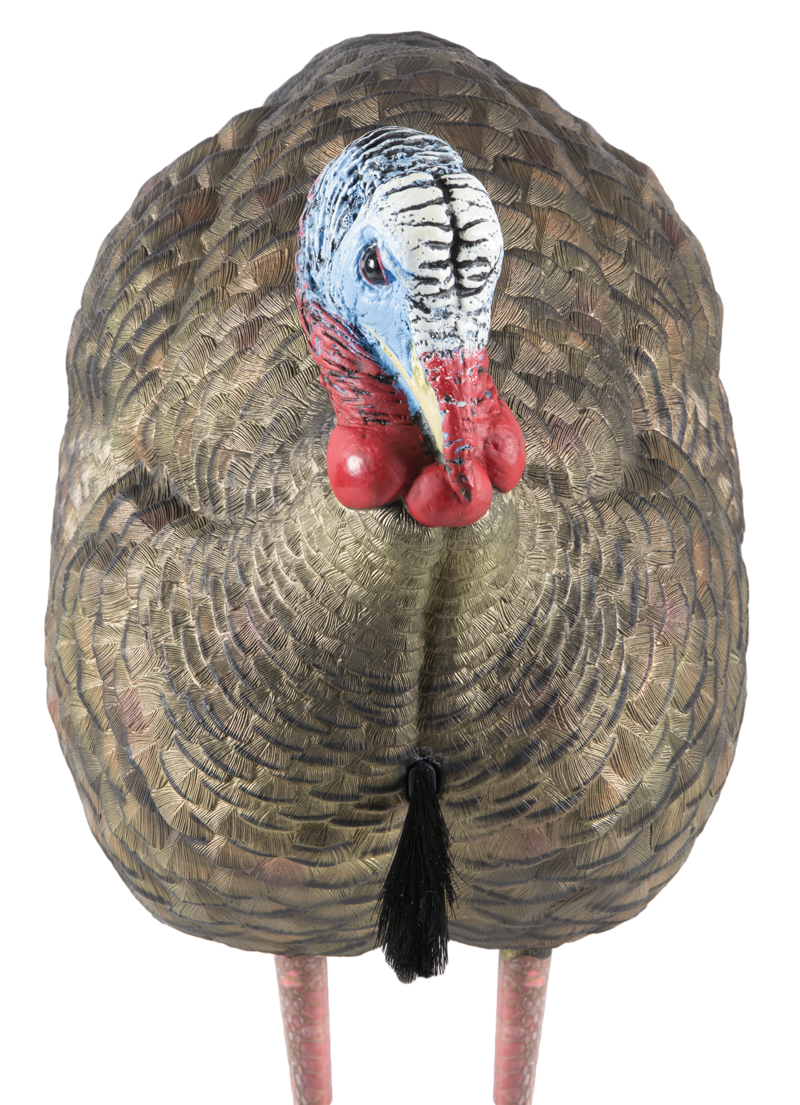 AVIAN X (GSM) LCD Half-Strut Jake Turkey Decoy, Dura-Rubber Constructi ...