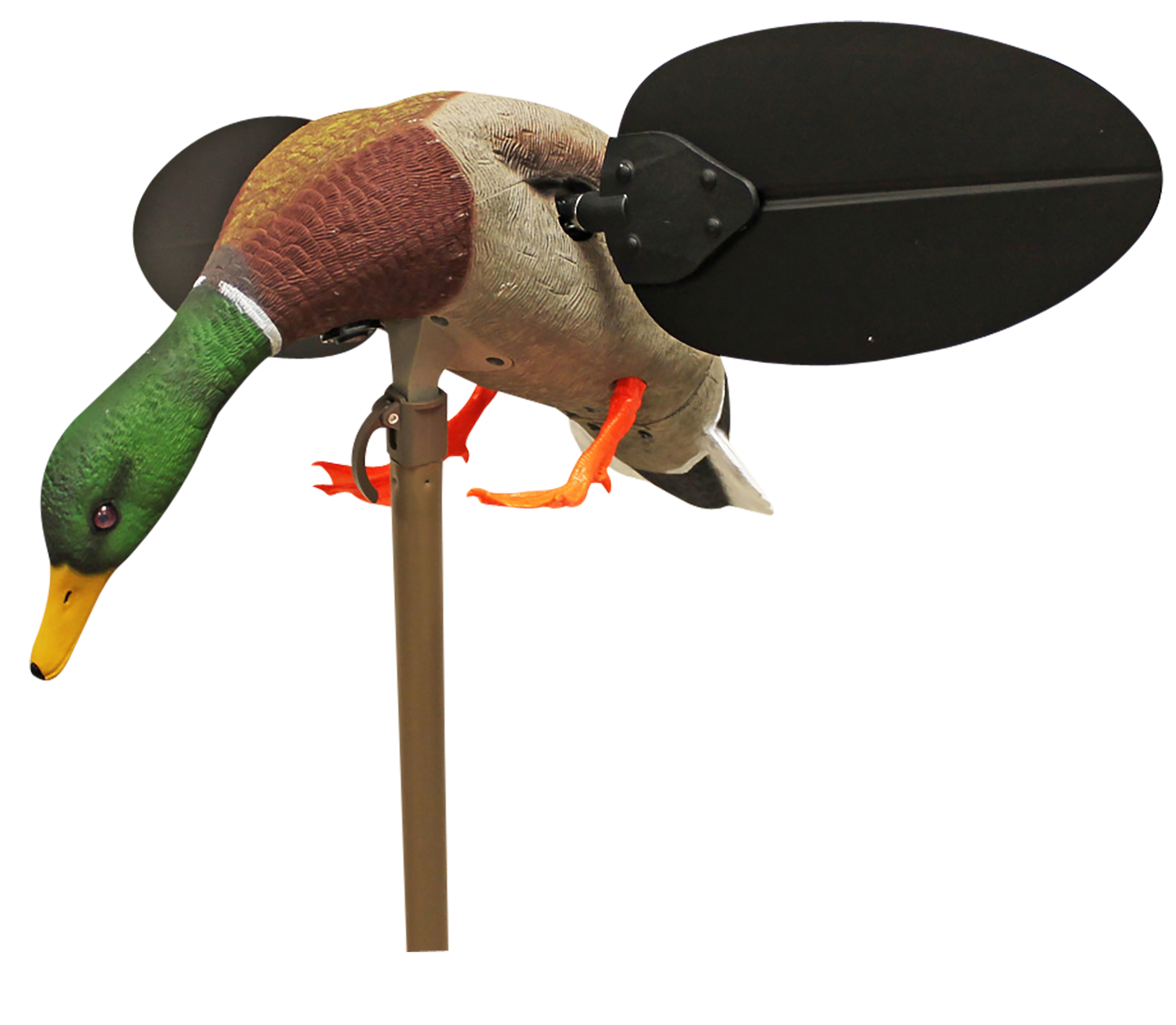 Mojo Mallard Drake Spinning-Wing Decoy with Remote Control, Lithium-io ...